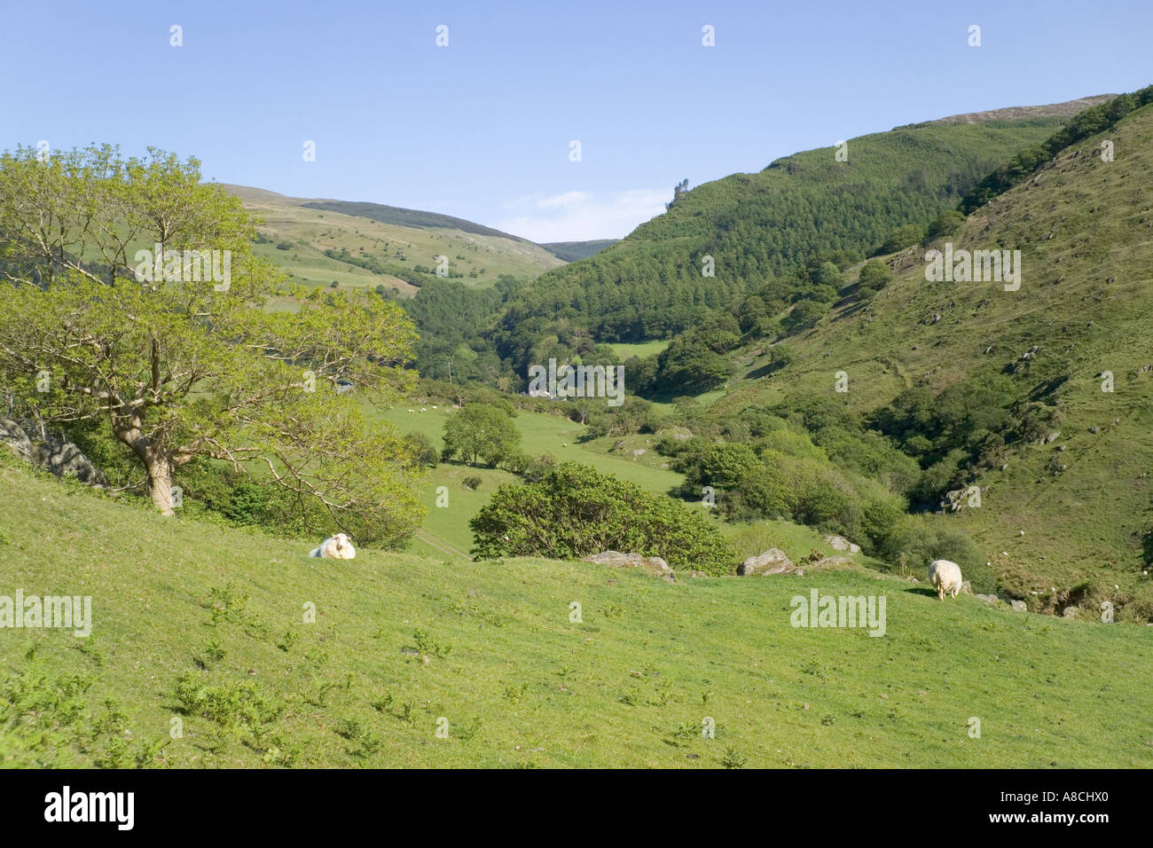 Landscape near Abergynolwyn, Gwynedd, North Wales Stock Photo - Alamy