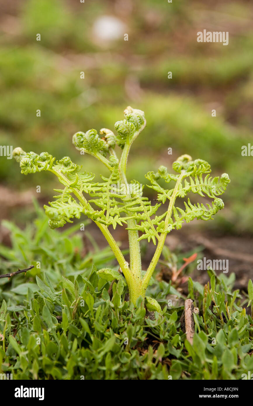 South west solitary island hi-res stock photography and images - Alamy