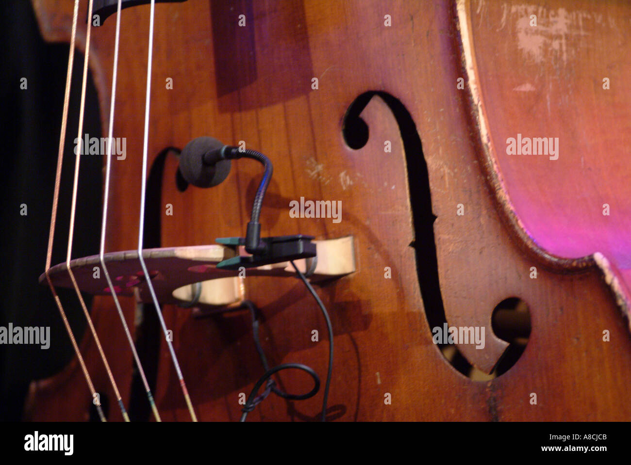 Viol bridge hi-res stock photography and images - Alamy