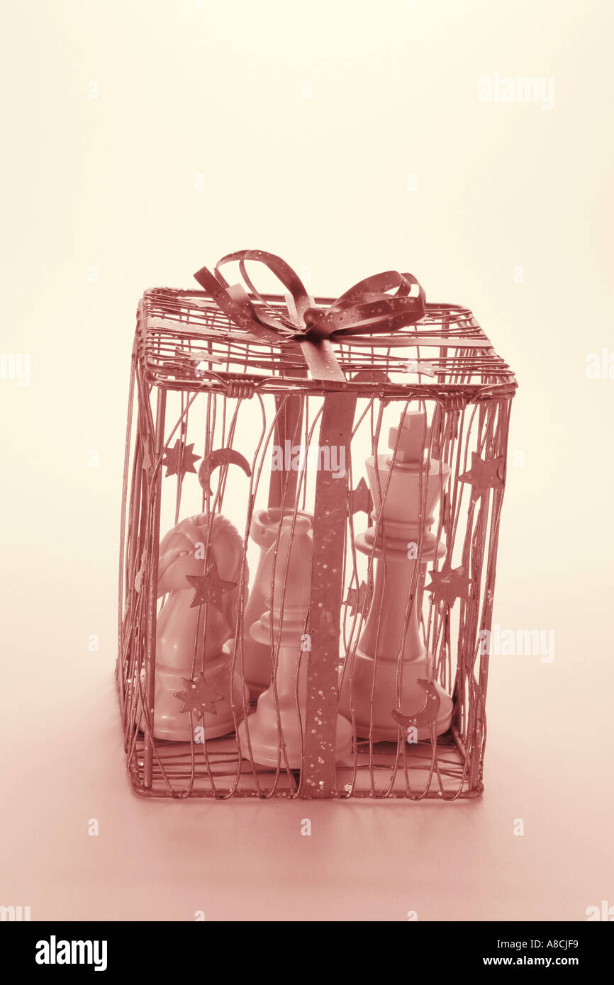 Chess Pieces in Gift Box Stock Photo - Alamy
