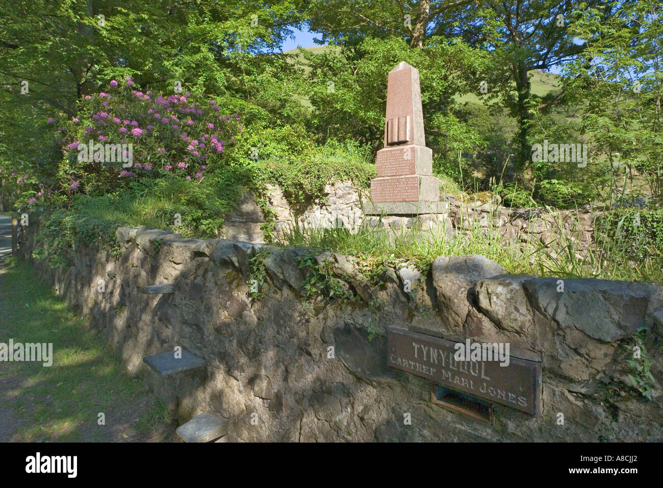Ruins of Mary Jones cottage at Llanfihangel y Pennant near Abergynolwyn ...