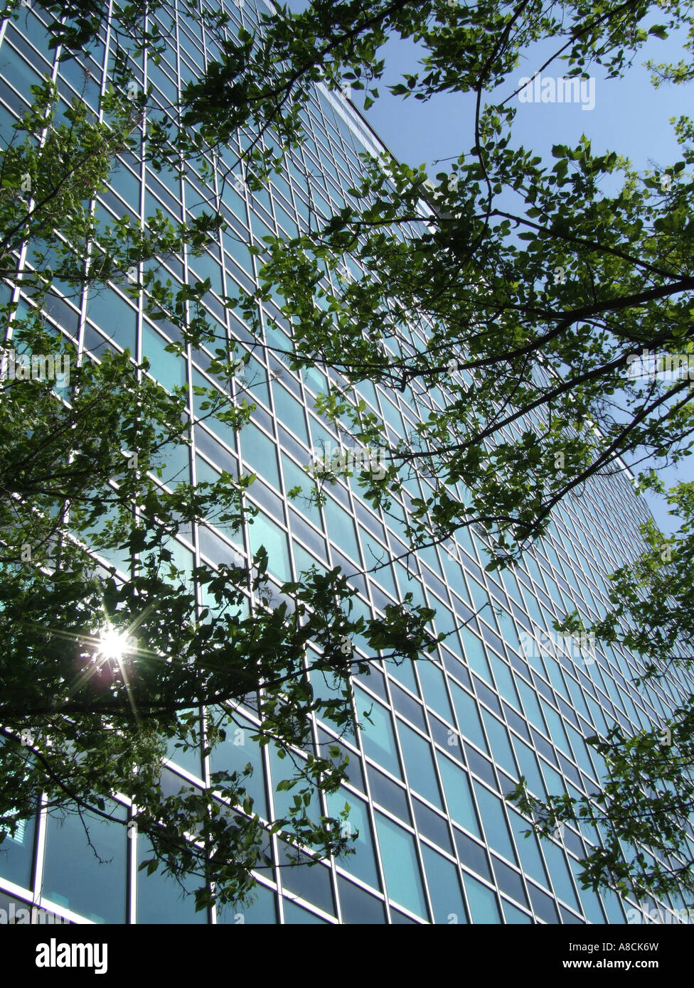 modern office block Stock Photo - Alamy