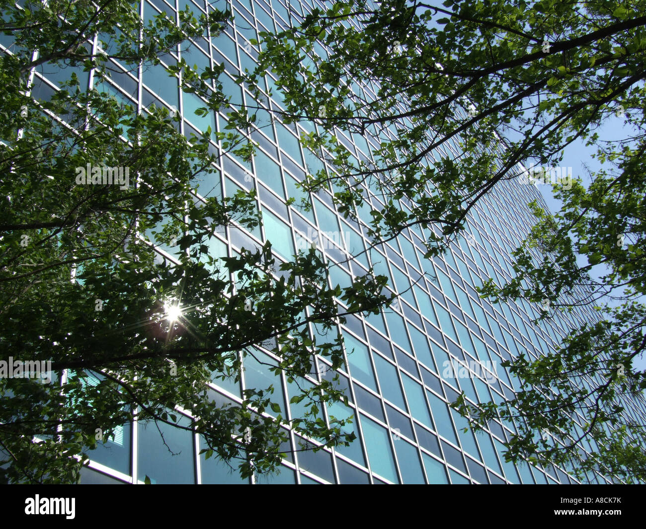 modern office block Stock Photo - Alamy
