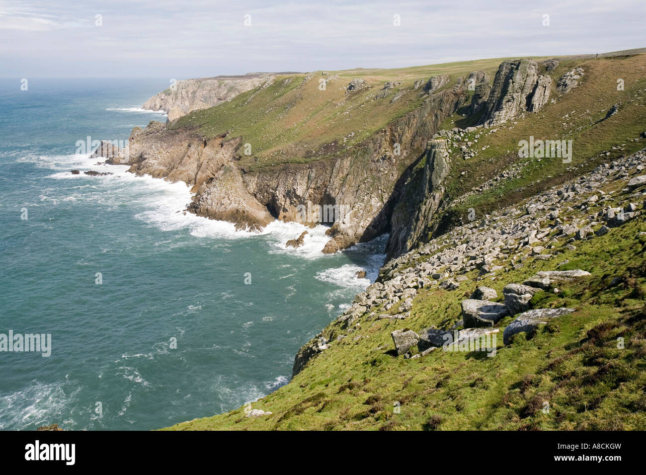 Gannet uk lundy hi-res stock photography and images - Alamy