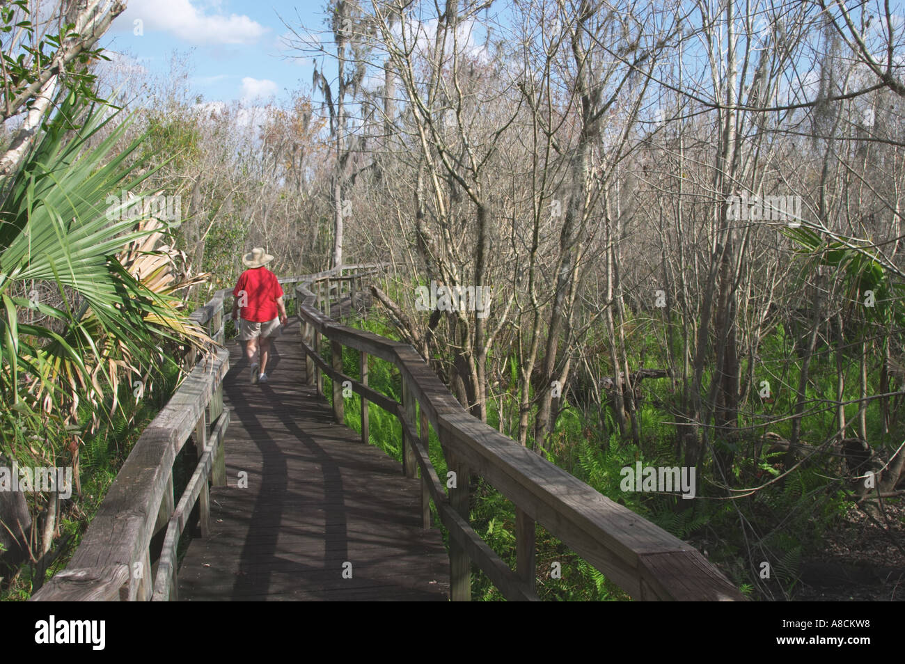 BOARDWALK AT CROWLEY MUSEUM AND NATURE CENTER SARASOTA FLORIDA Stock ...