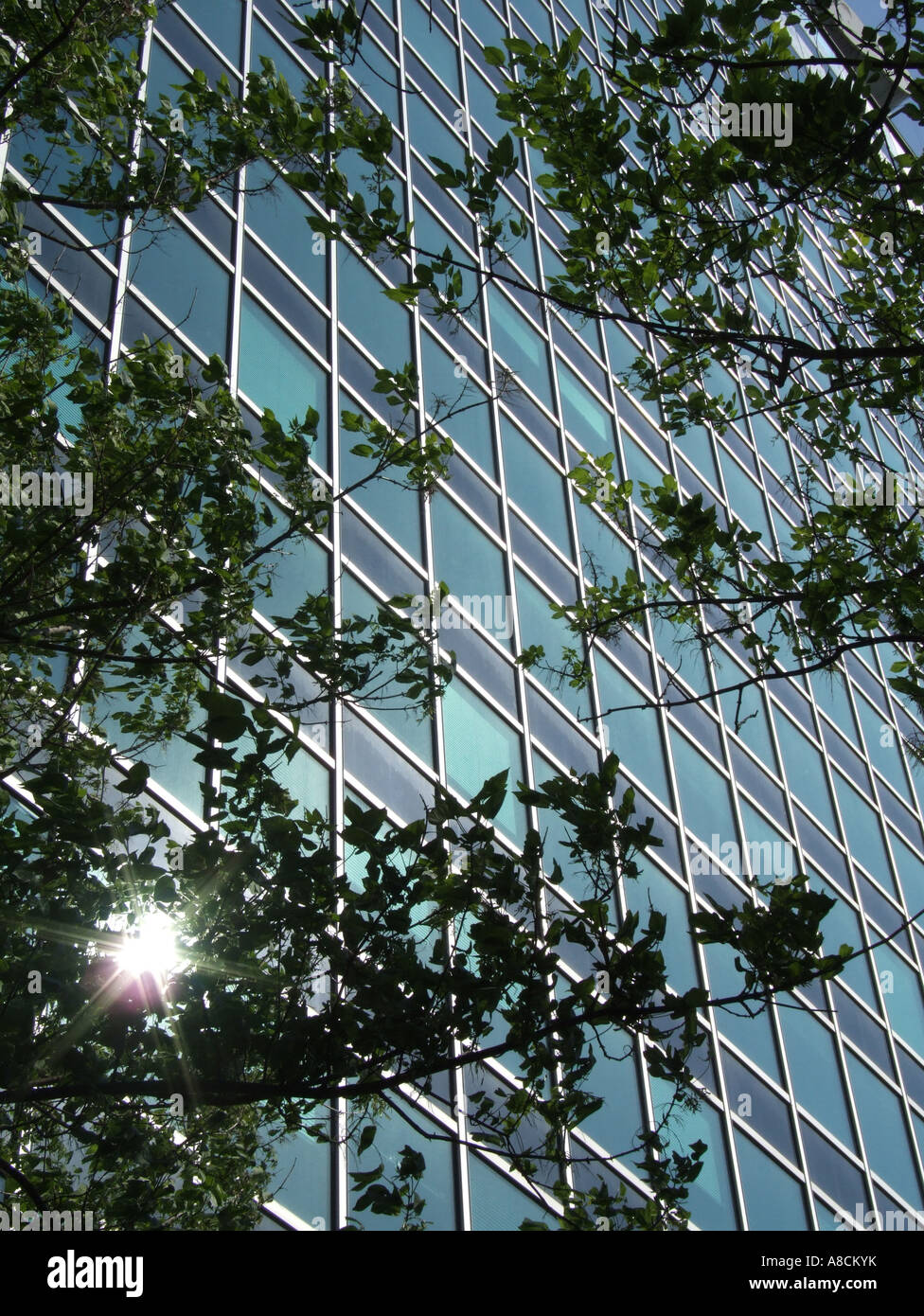 modern office block Stock Photo - Alamy