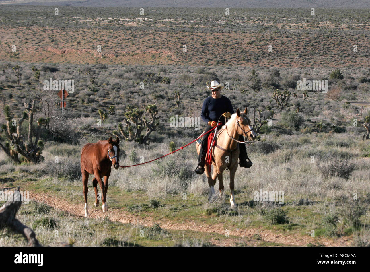 Cowboy on horseback with pony in Red Rock Canyon outside Las Vegas ...