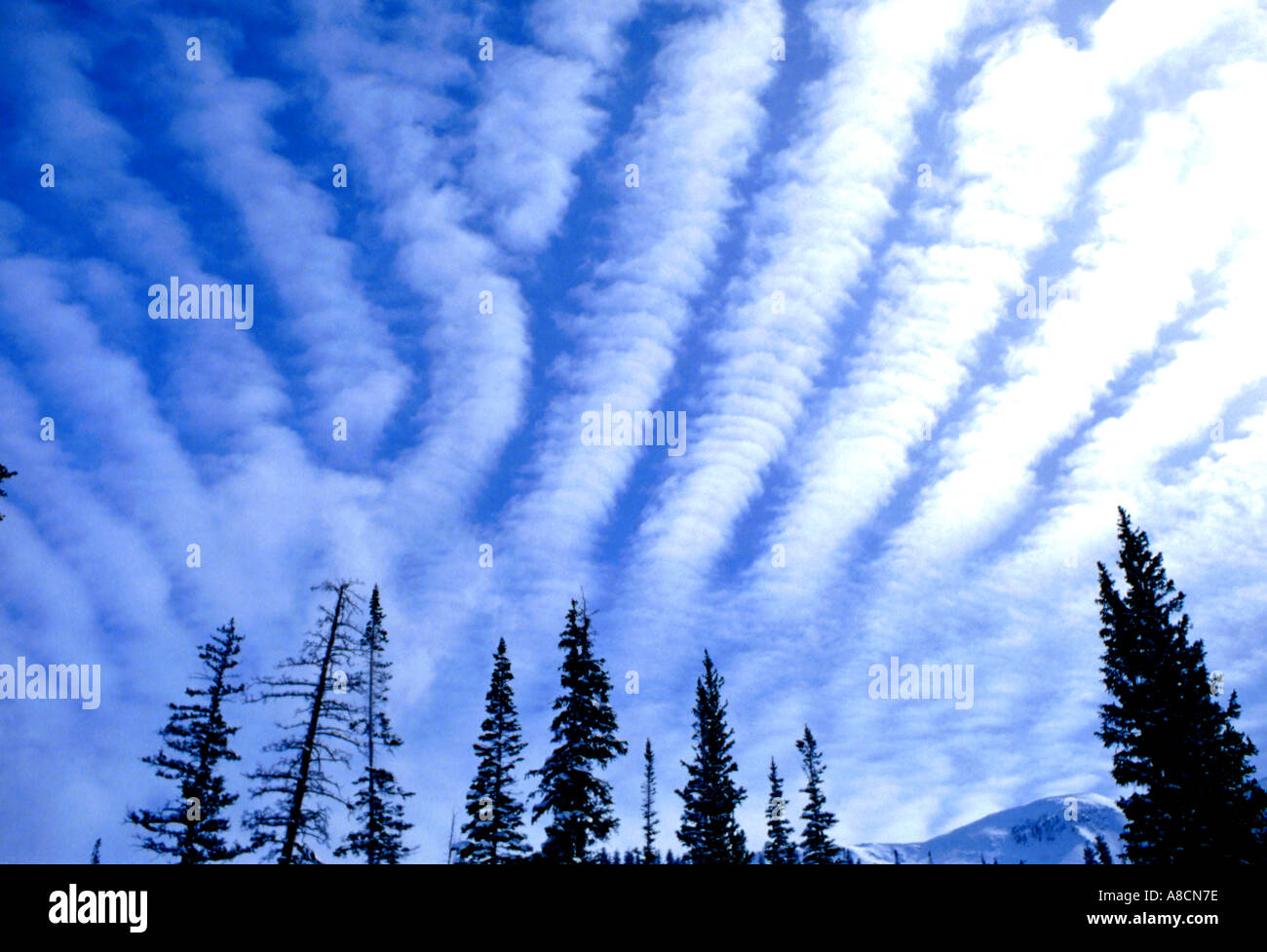Spectacular cloud patterns in a winter sky over Utah called Altocumulus ...