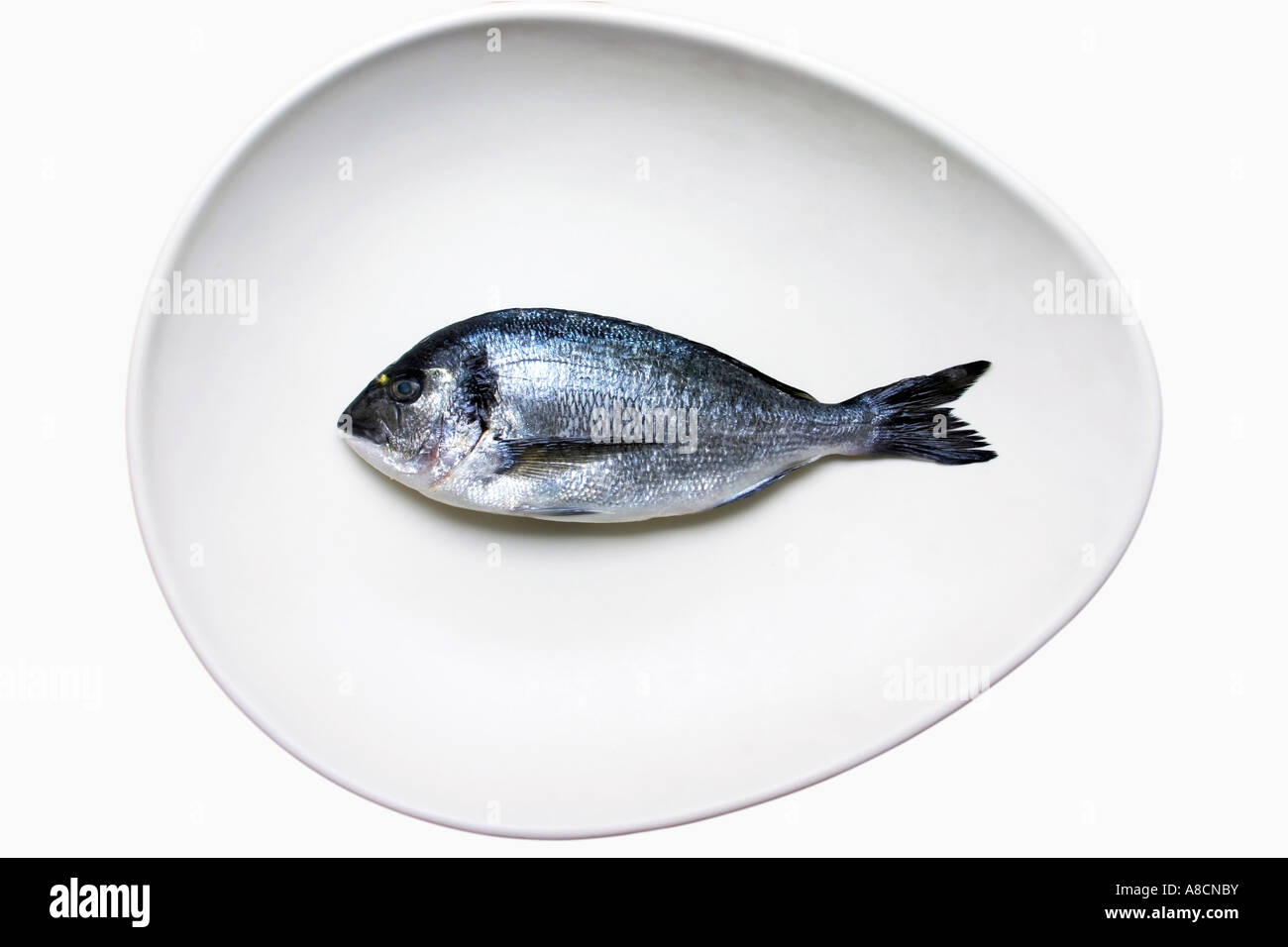 Gilt Head Bream fish in a white oval serving dish Stock Photo - Alamy