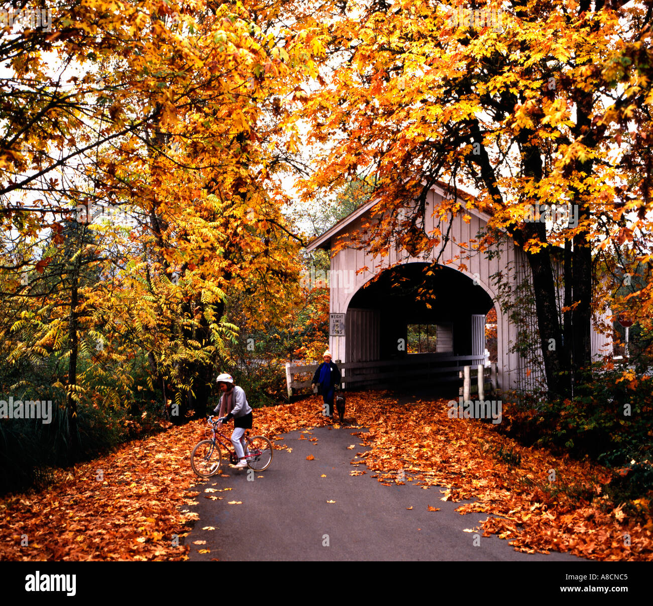 Neal Lane Bridge High Resolution Stock Photography and Images - Alamy