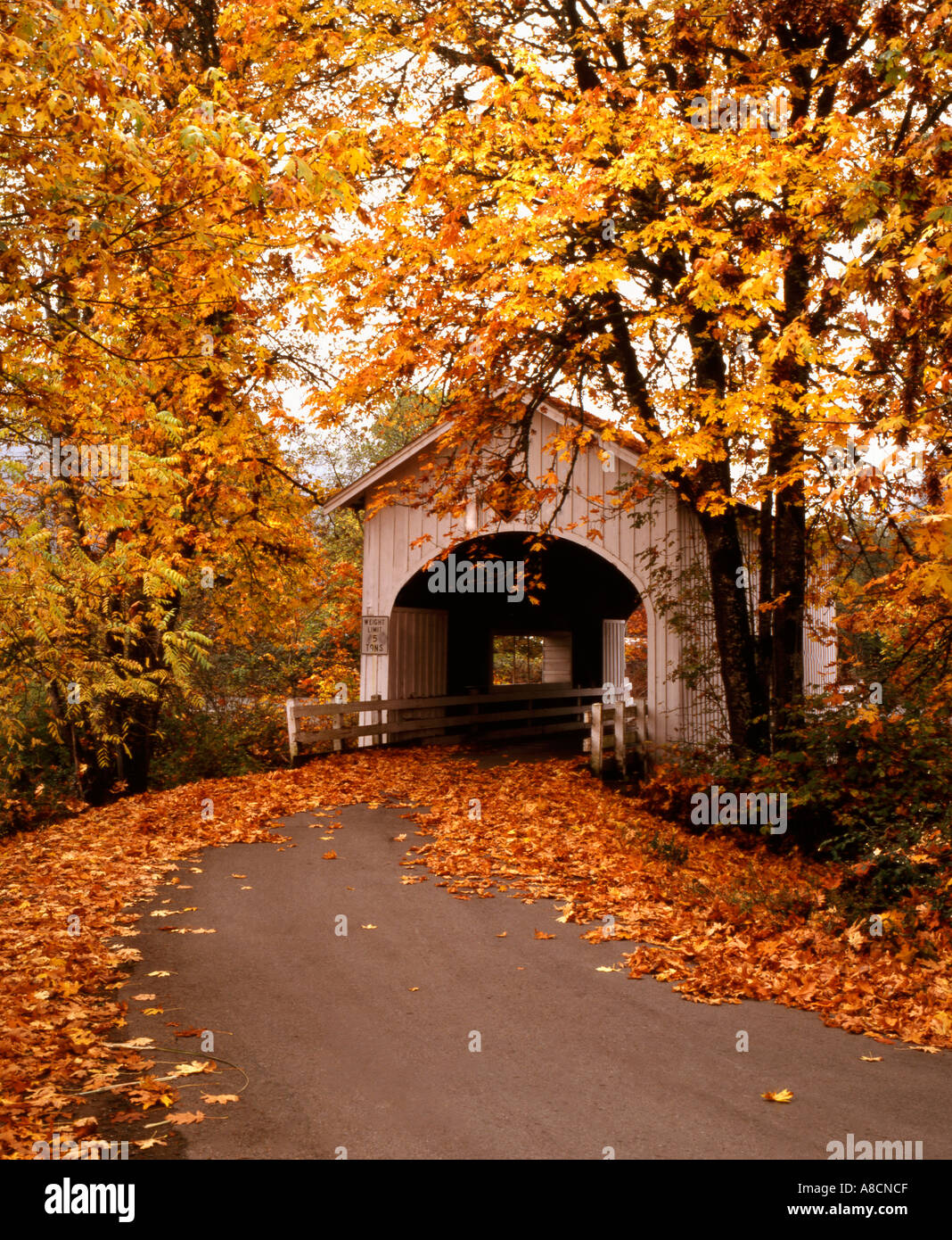 Neal lane bridge hi-res stock photography and images - Alamy