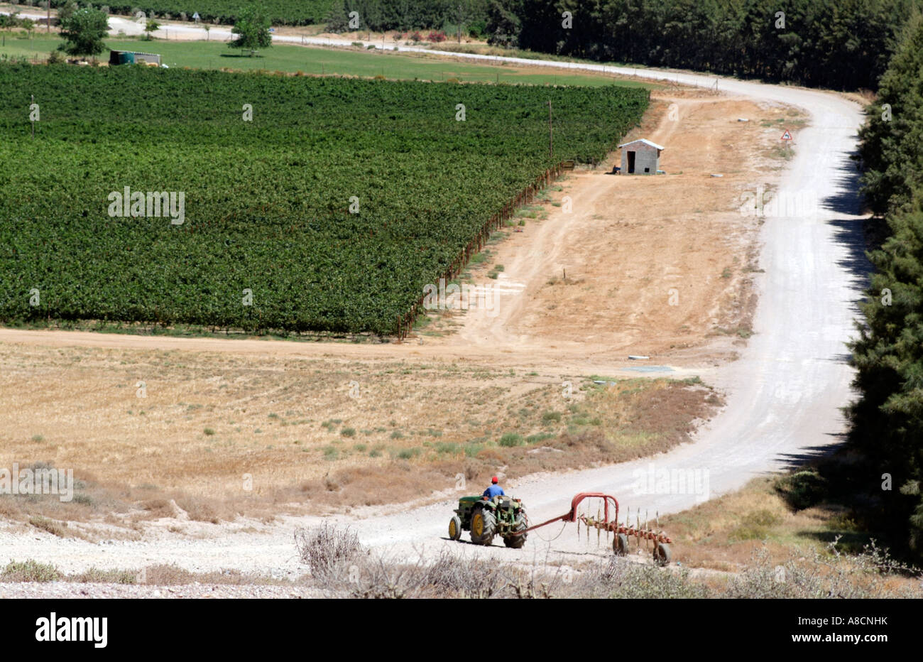 Farming in the western cape South Africa. Vineyard Stock Photo - Alamy