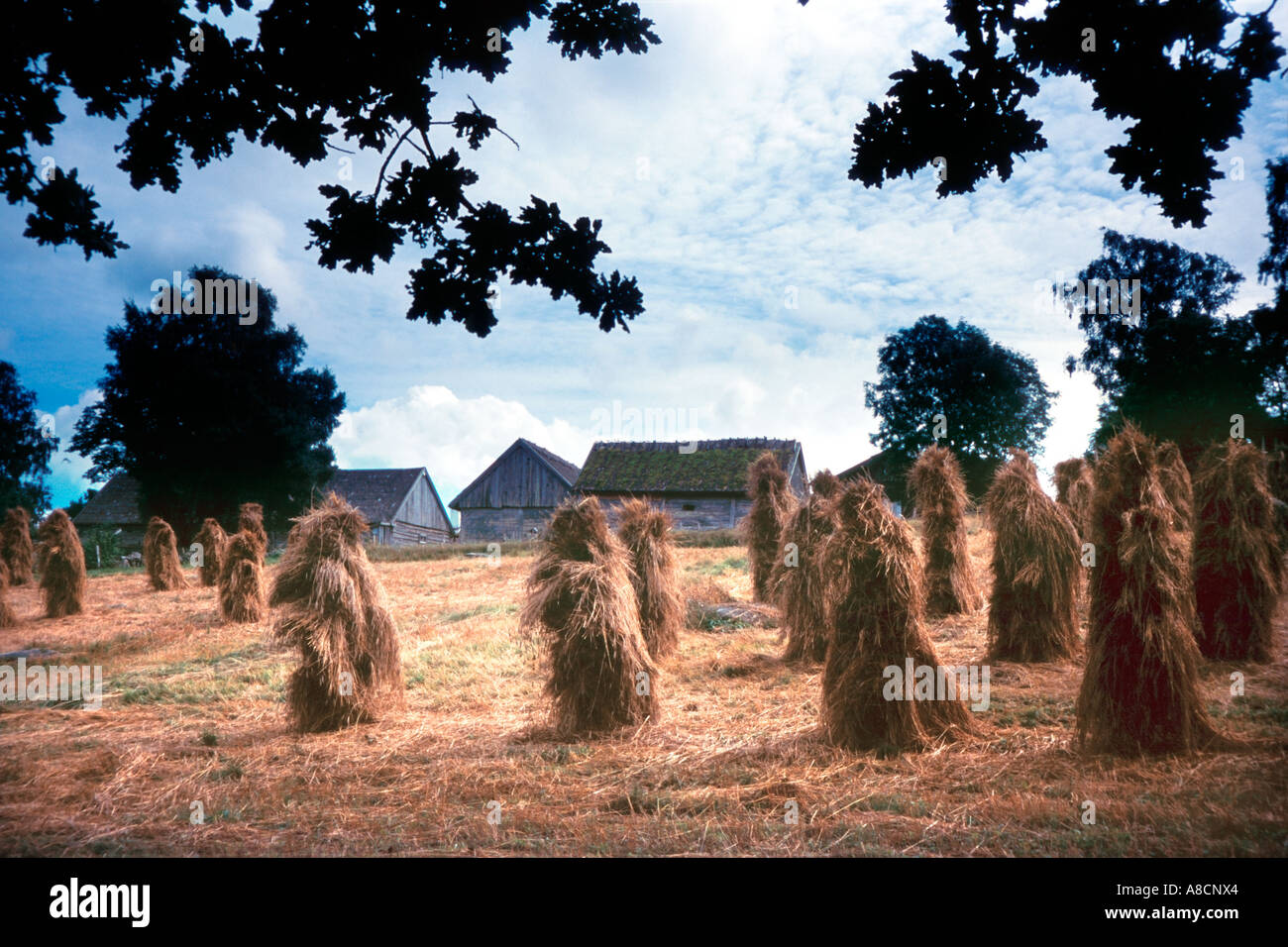 haystacks in Askhult Village Stock Photo - Alamy