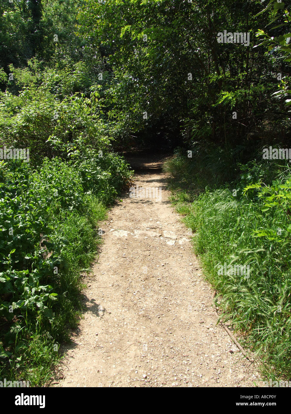 detail of path Stock Photo - Alamy