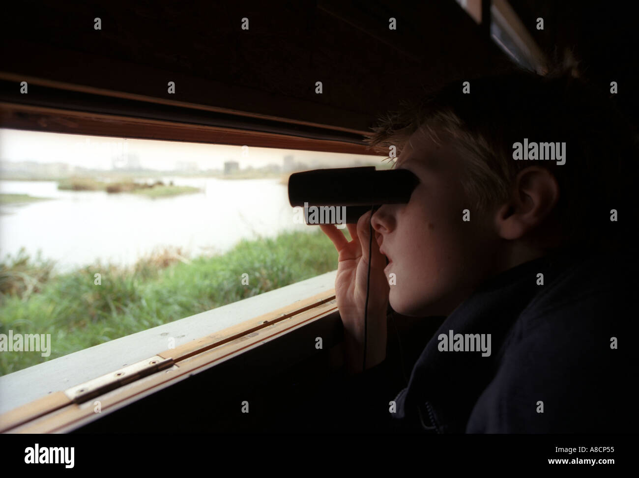 boy bird watching with binoculars in a hide at Barnes Wildfowl Centre ...