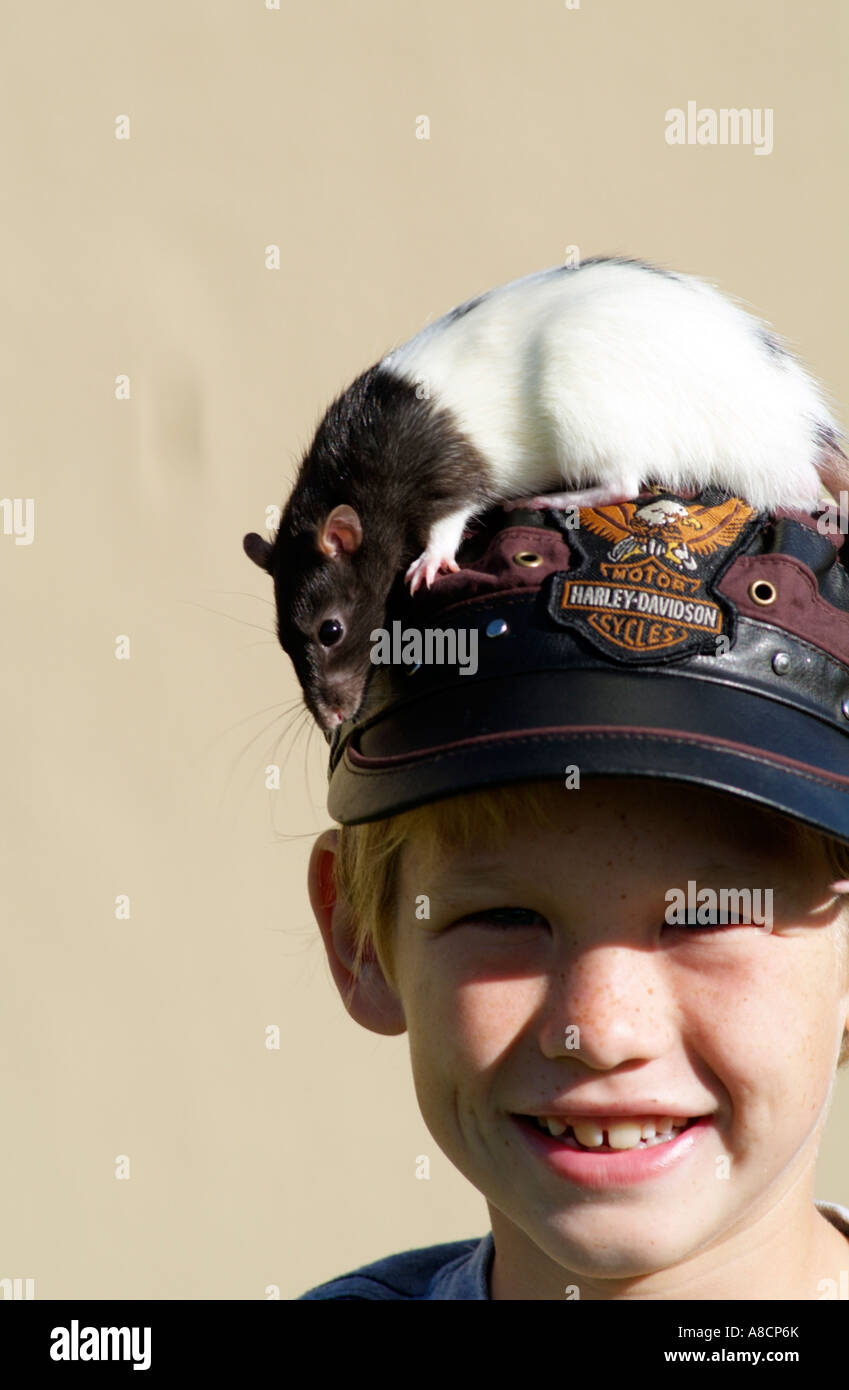 Boy with pet rat Young smiling boy with his pet rat sitting on his ...