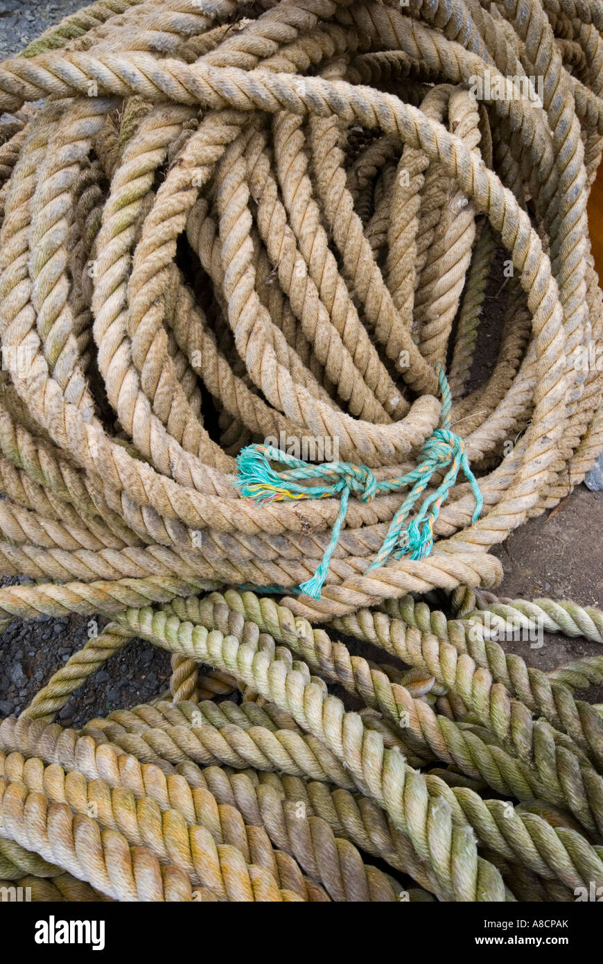 A coil of old fishing boat hawser Stock Photo - Alamy