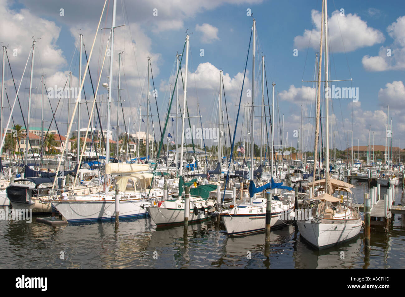 Burnt Store Marina on Charrlotte Harbor on the Gulf of Mexico in Punta ...