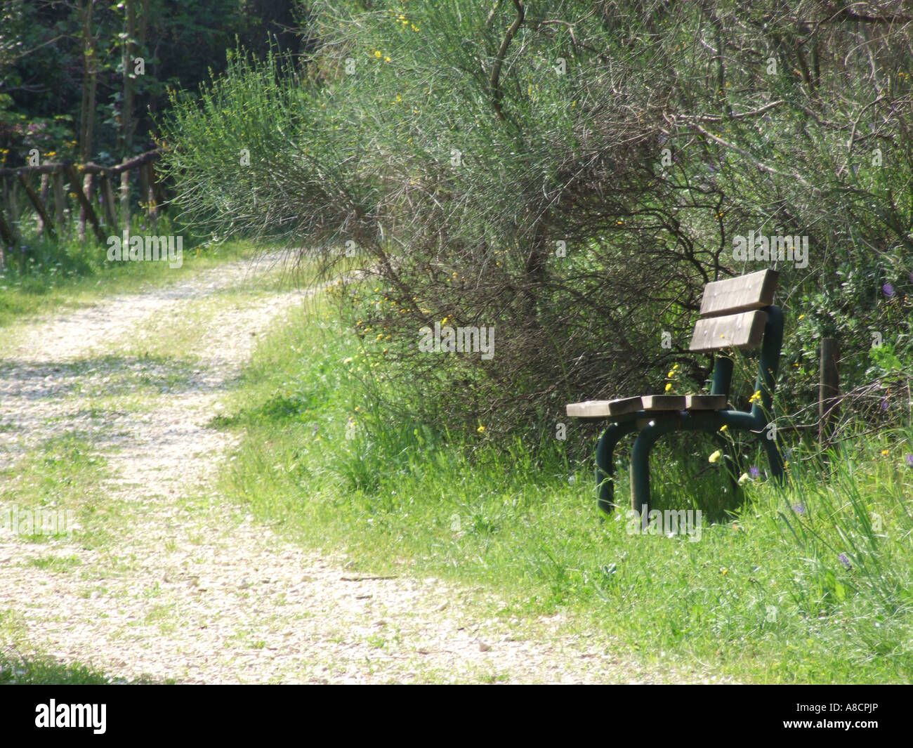 bench in countryside Stock Photo - Alamy