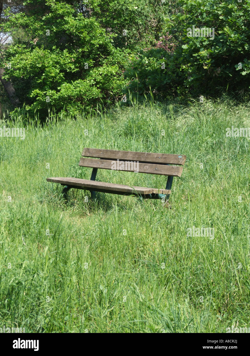 one bench in countryside Stock Photo - Alamy