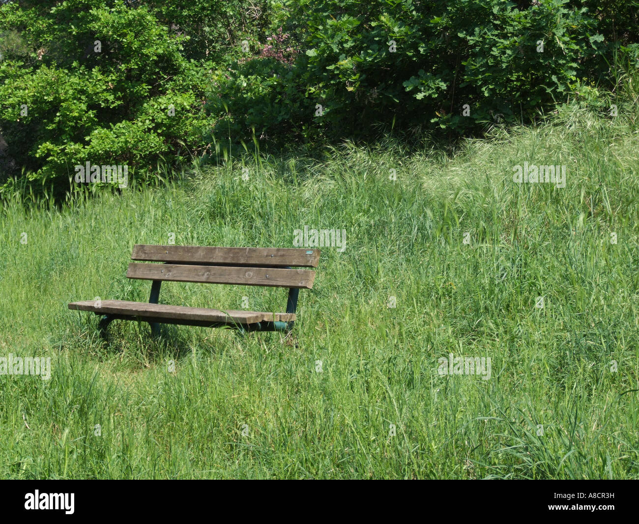 one bench in countryside Stock Photo - Alamy