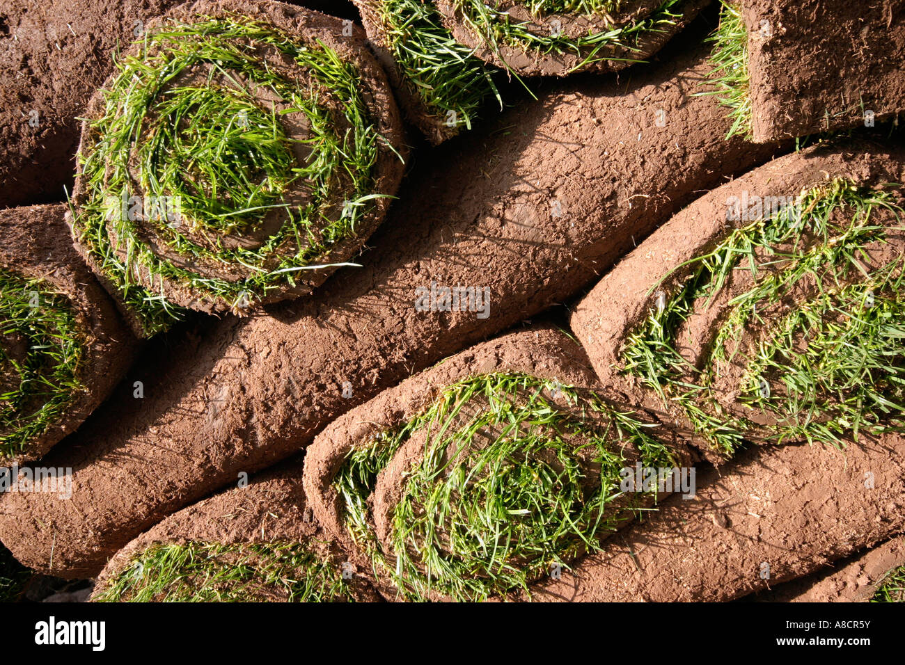 rolls of lawn turf Stock Photo - Alamy