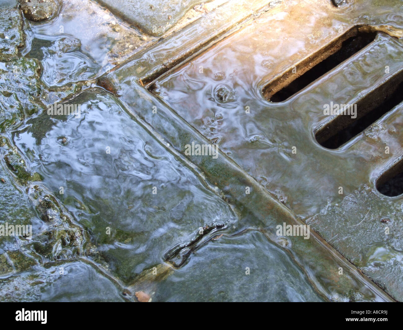 water flowing into drain Stock Photo - Alamy