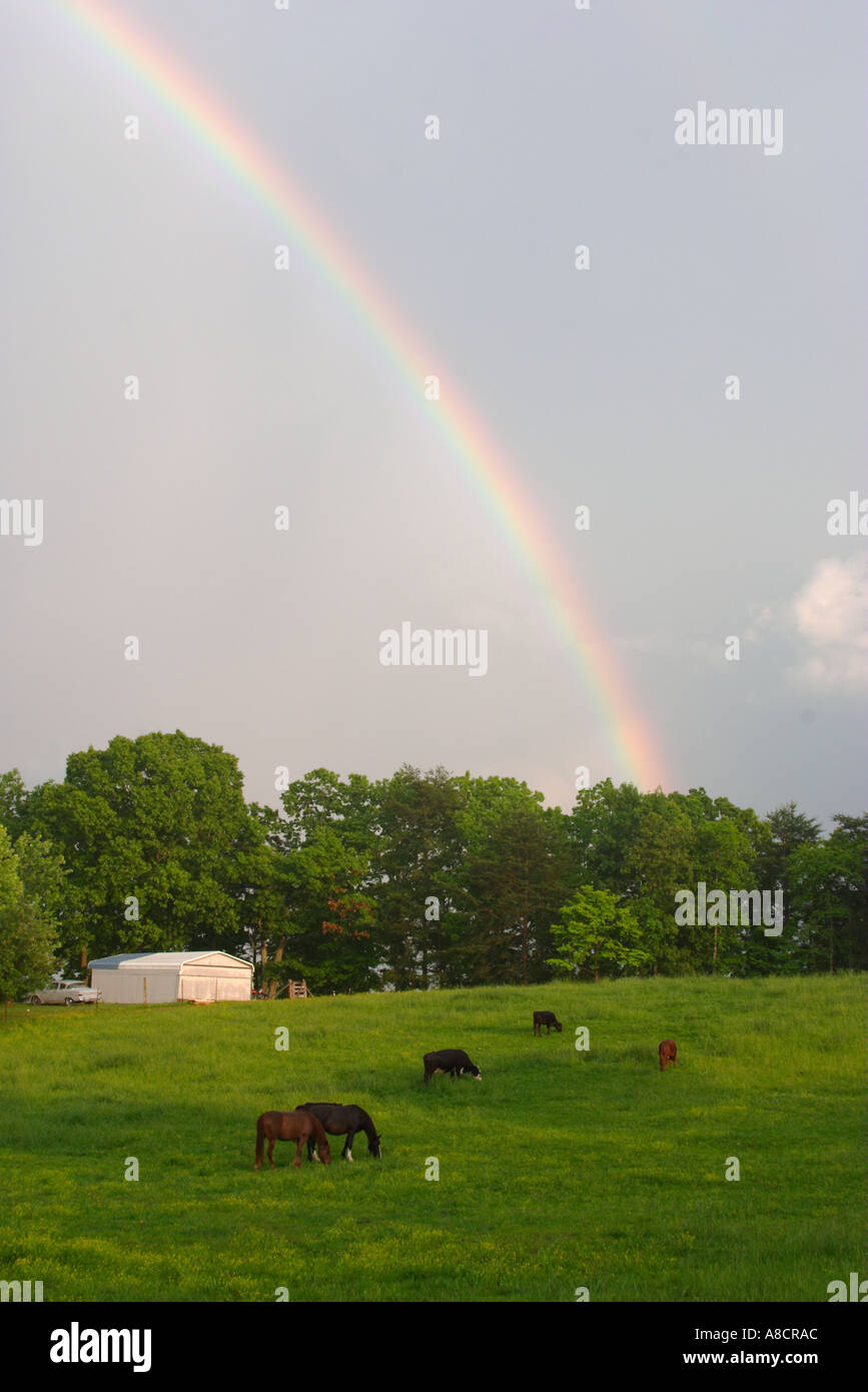 After the storm a rain bow over pasture land in Tennessee Stock Photo ...