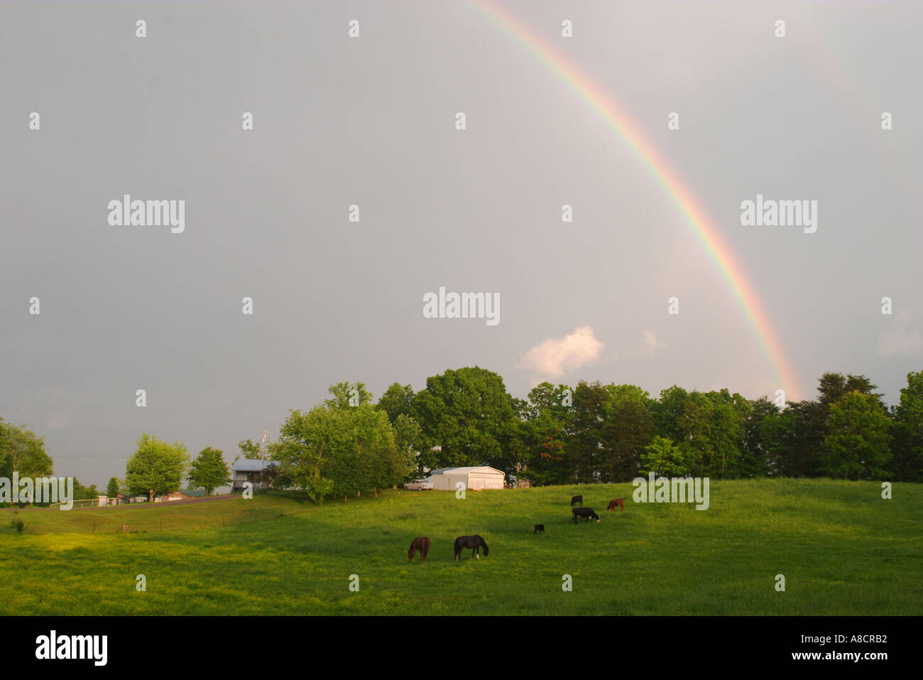 After the storm a rain bow over pasture land in Tennessee Stock Photo ...