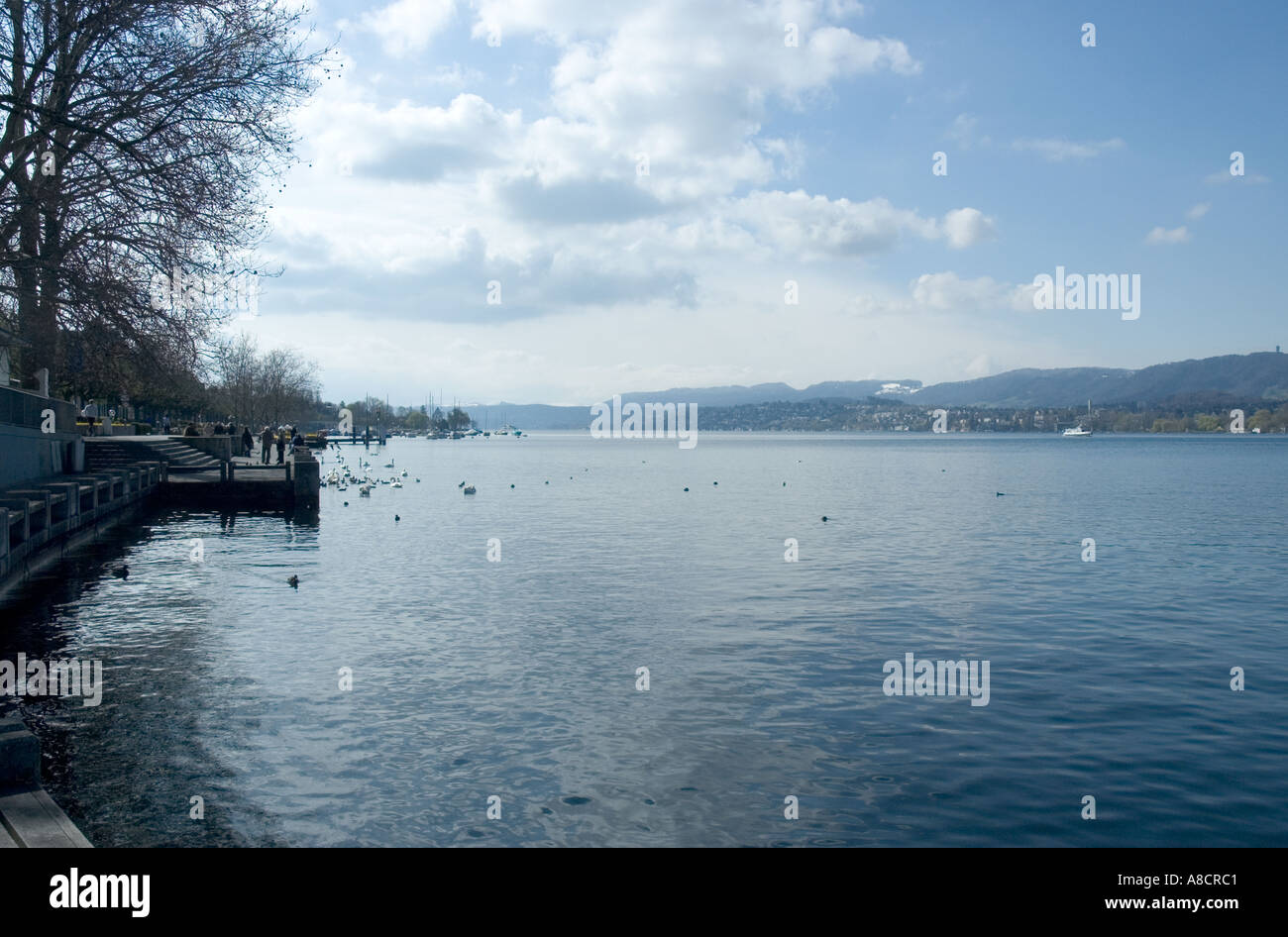 Zurichsee Lake in the beautiful city of Zurich Switzerland Stock Photo ...