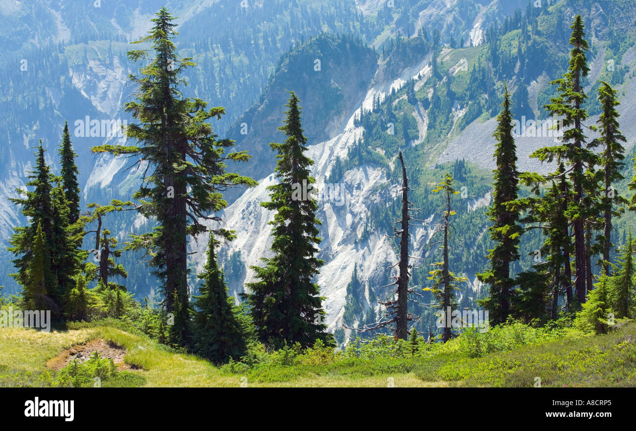 Mount baker from point hi-res stock photography and images - Alamy