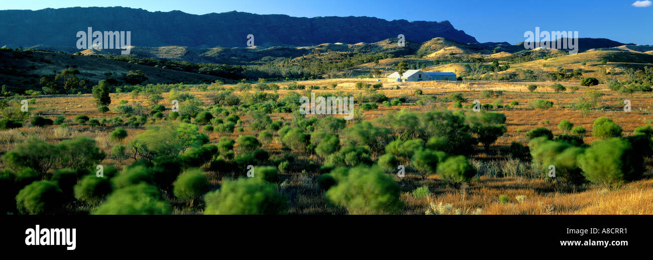 Arkaba Wool Station Flinders Ranges South Australia Australia Stock ...