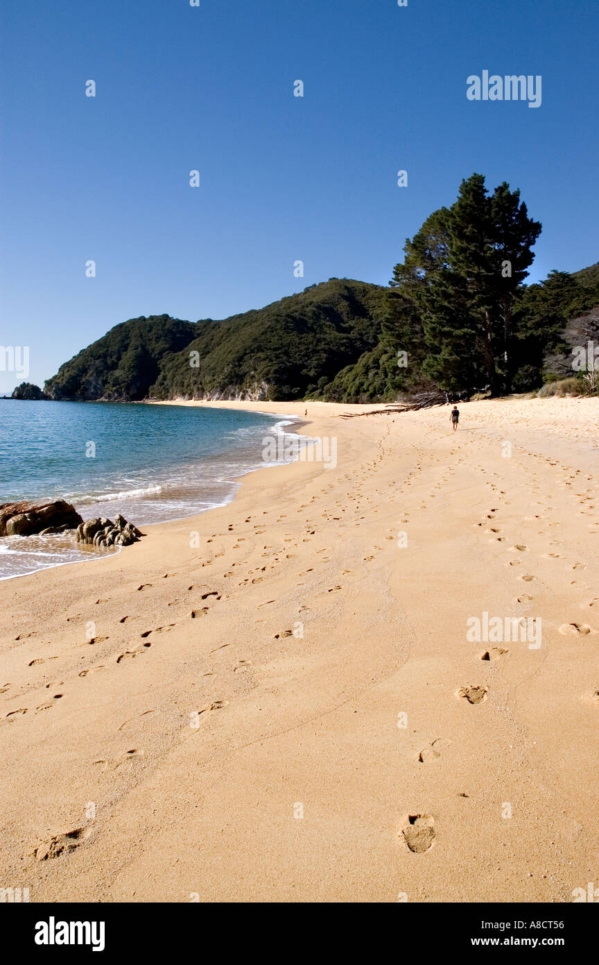 Mutton Cove Able Tasman Track Stock Photo - Alamy