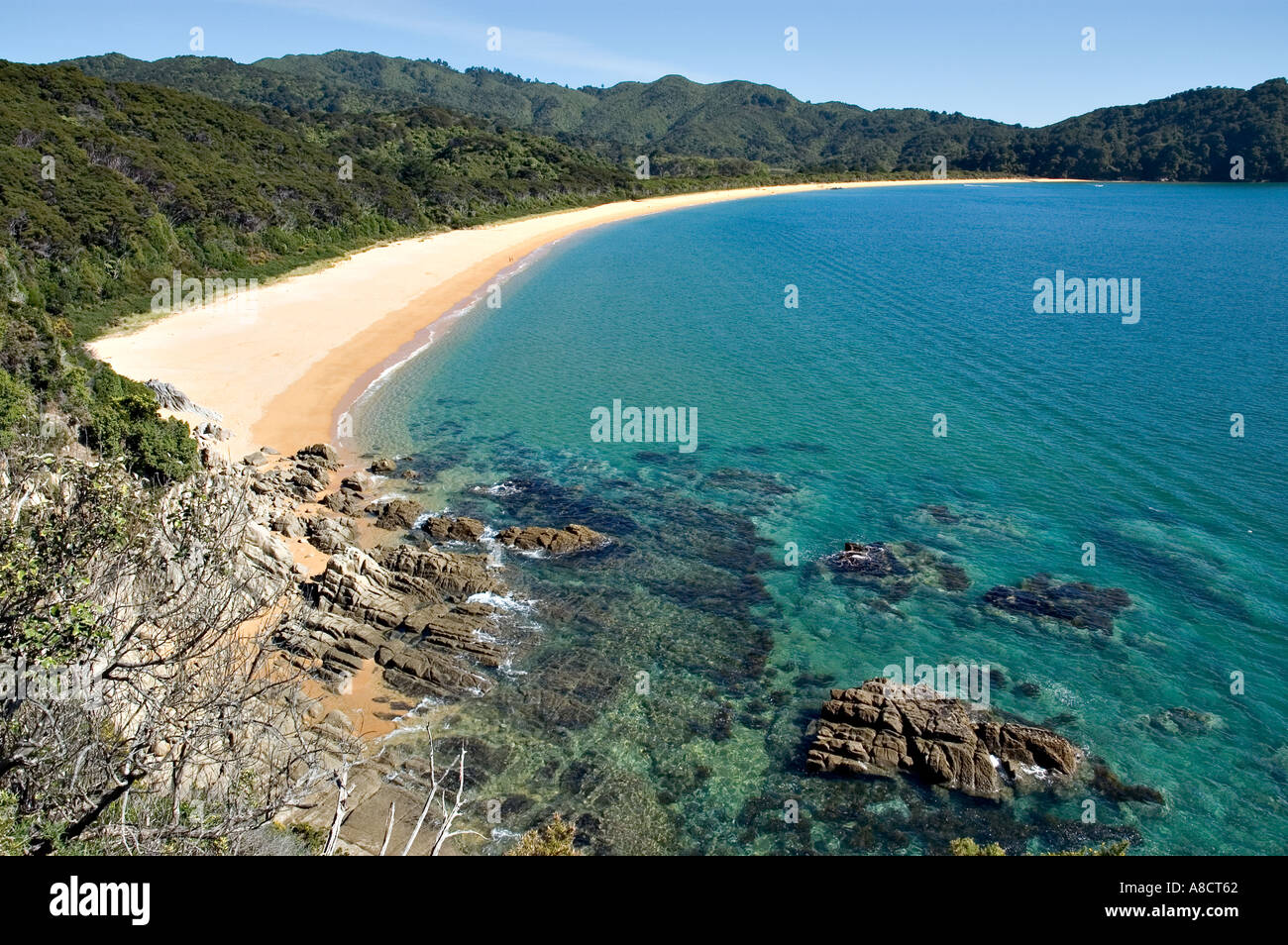 Totaranui Able Tasman Track Stock Photo - Alamy
