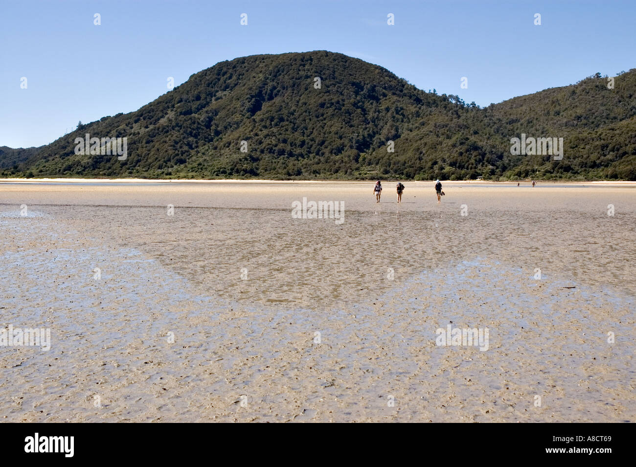 Awaroa bay new zealand hi-res stock photography and images - Alamy