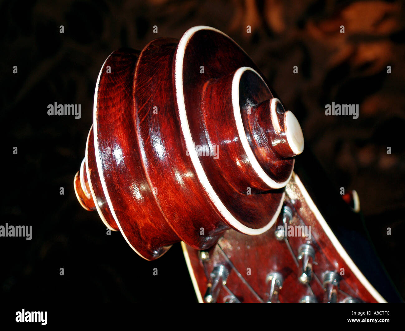 Kozak art music Ukrainian bandura kobza kobsa torban Stock Photo - Alamy