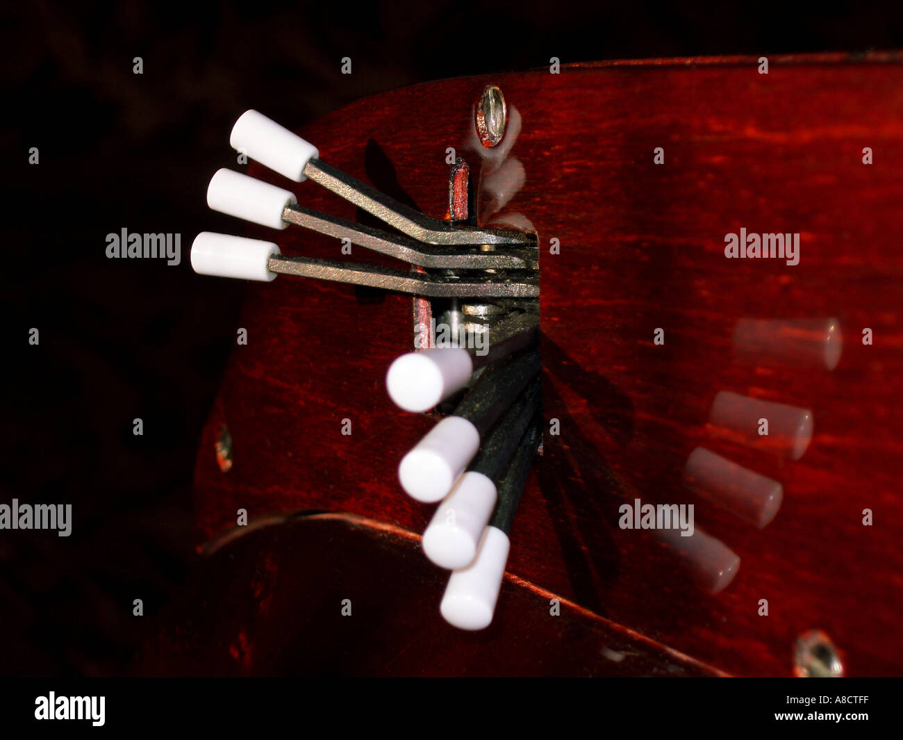 Kozak art music Ukrainian bandura kobza kobsa torban Stock Photo - Alamy