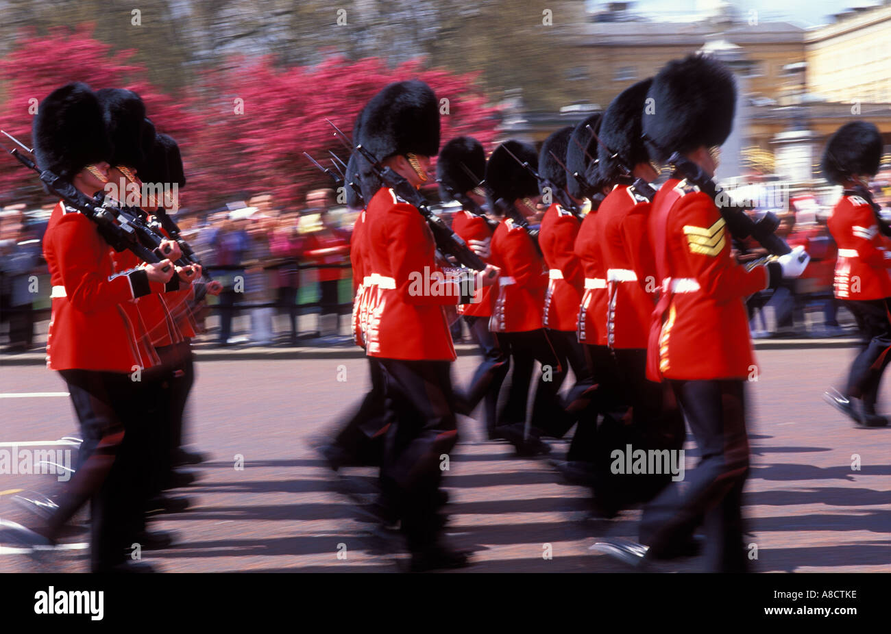 changing of the Guard Grenadier Guards Buckingham Palace London England ...