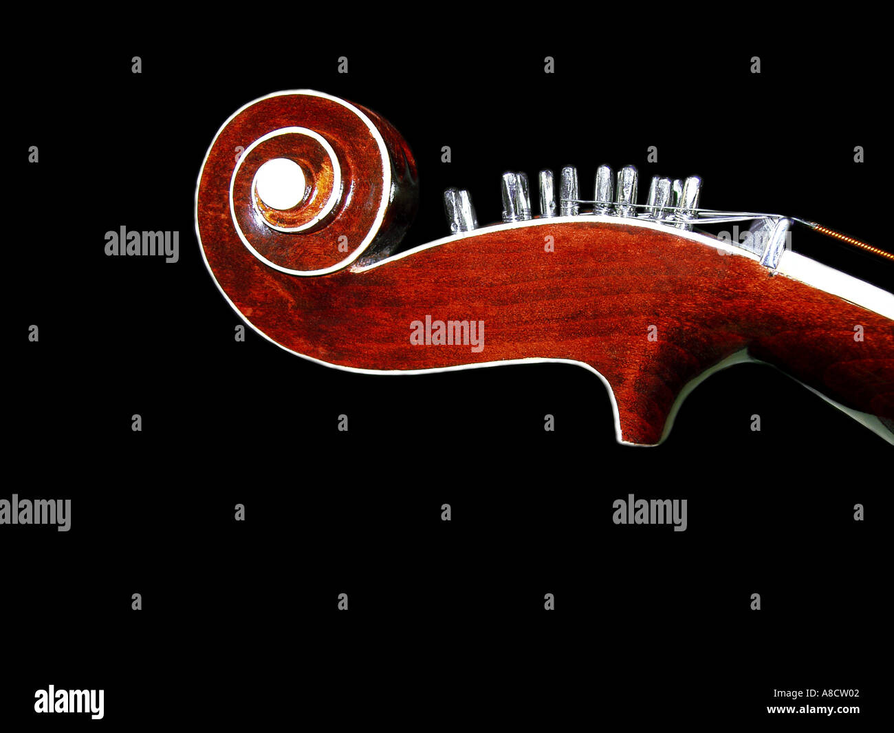 Kozak art music Ukrainian bandura kobza kobsa torban Stock Photo - Alamy