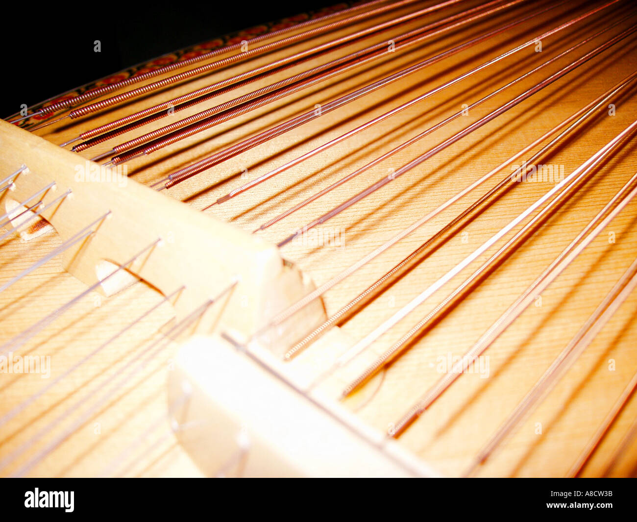 Kozak art music Ukrainian bandura kobza kobsa torban Stock Photo - Alamy