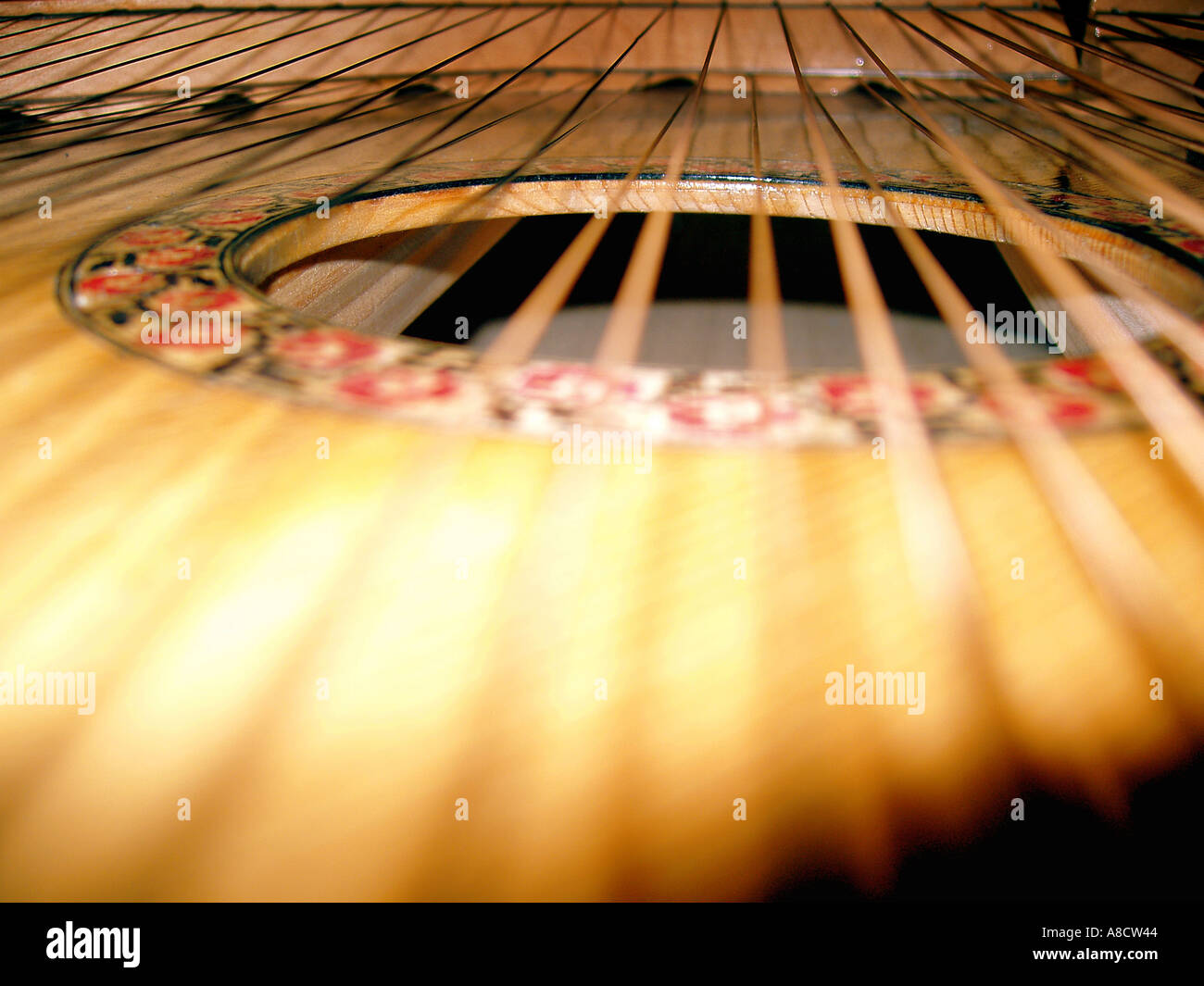 Kozak art music Ukrainian bandura kobza kobsa torban Stock Photo - Alamy