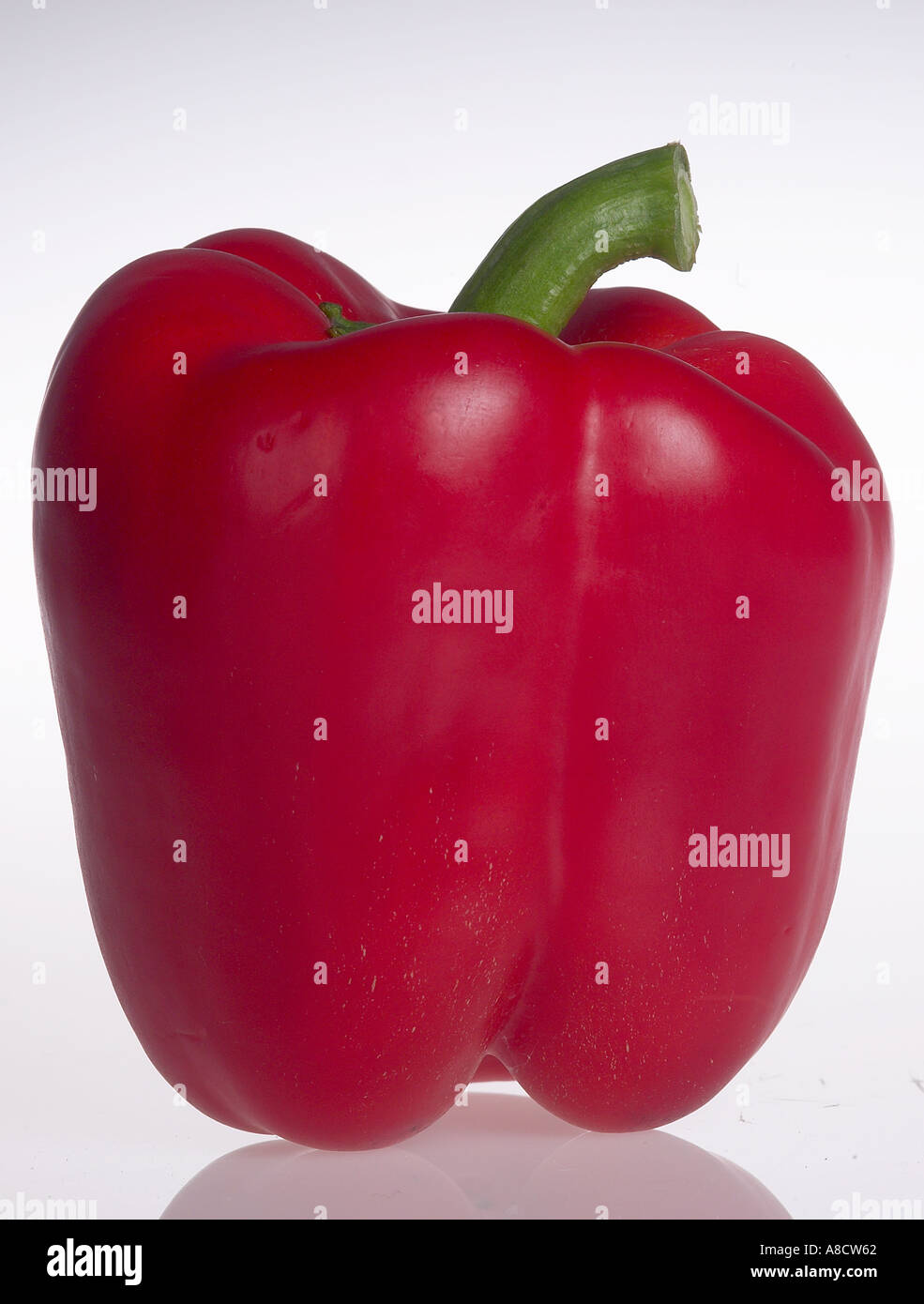 Food one red chilly hot spicy Vegetable Capsicum on white background ...