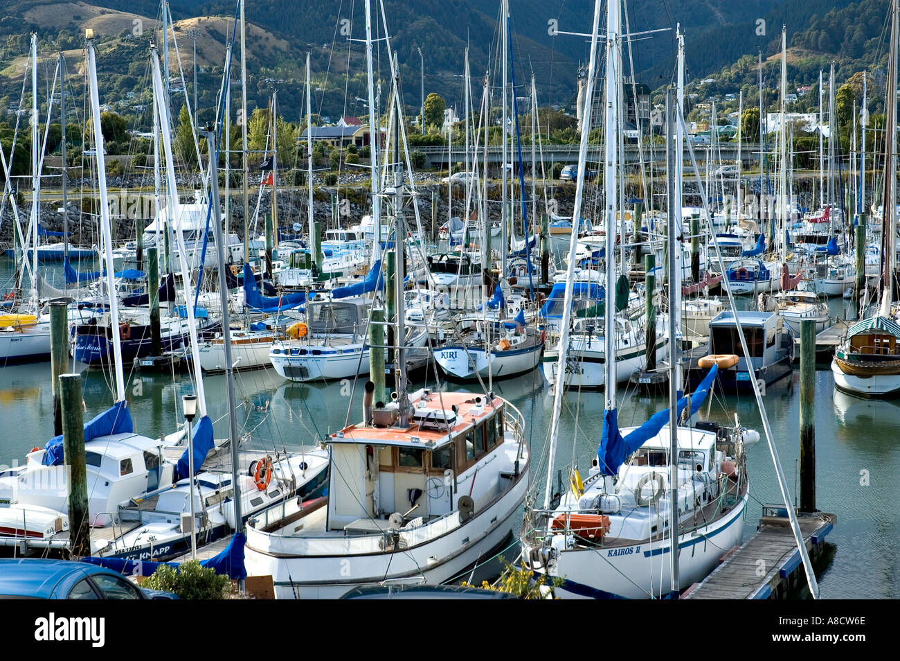 Nelson new zealand marina hi-res stock photography and images - Alamy
