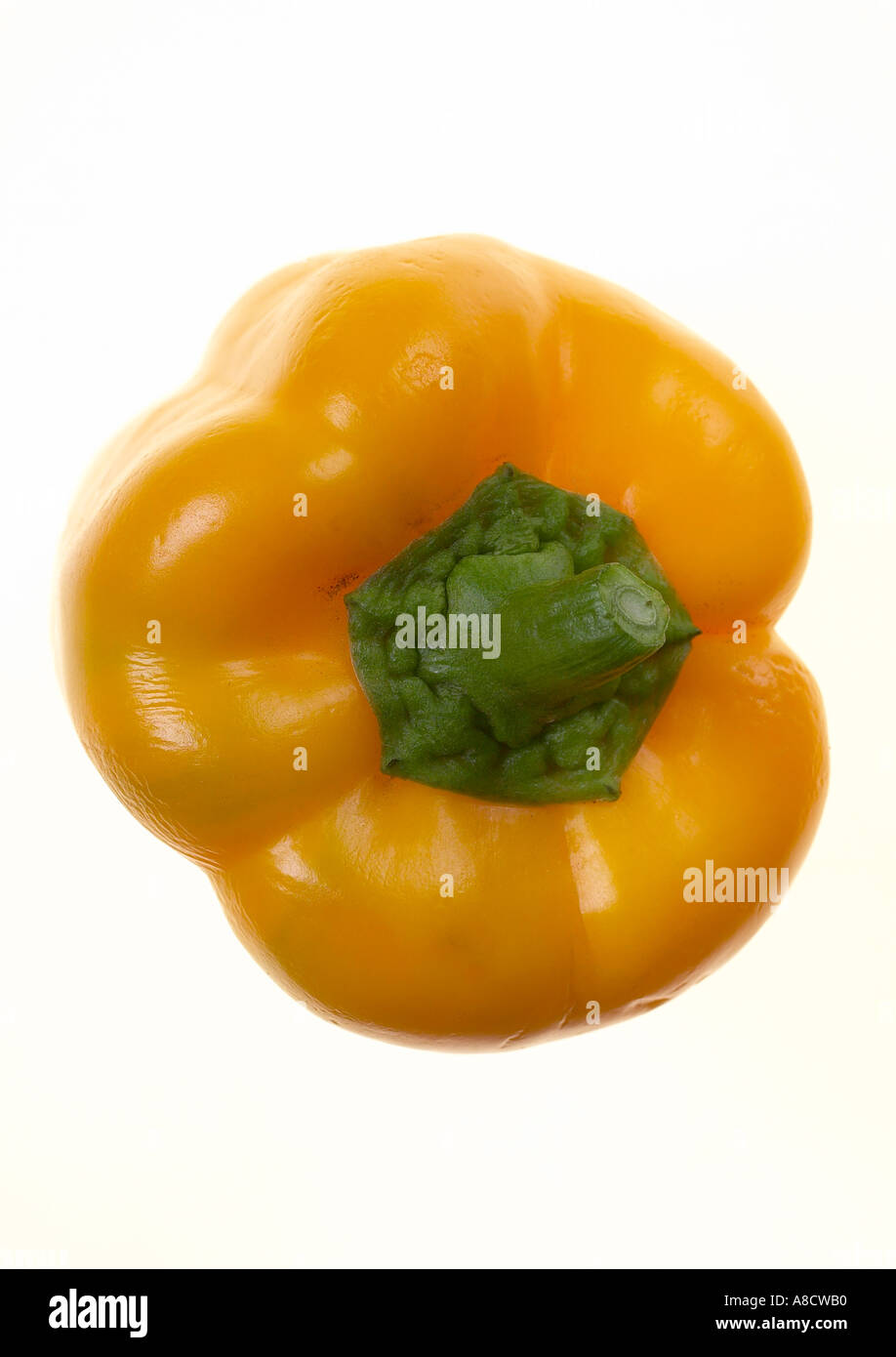 Food one yellow chilly hot spicy Vegetable Capsicum top angle on white ...