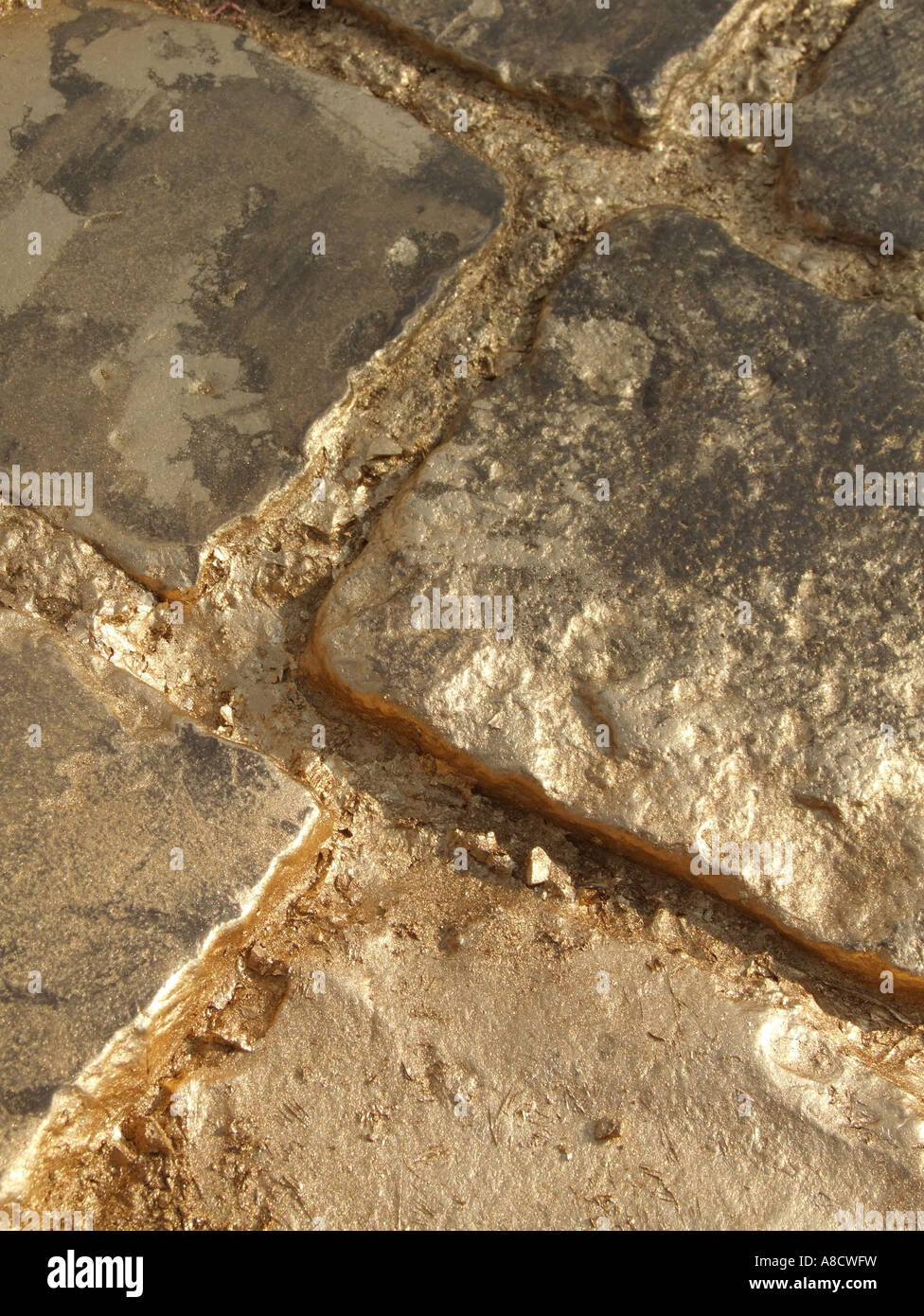 street paved with gold Stock Photo - Alamy