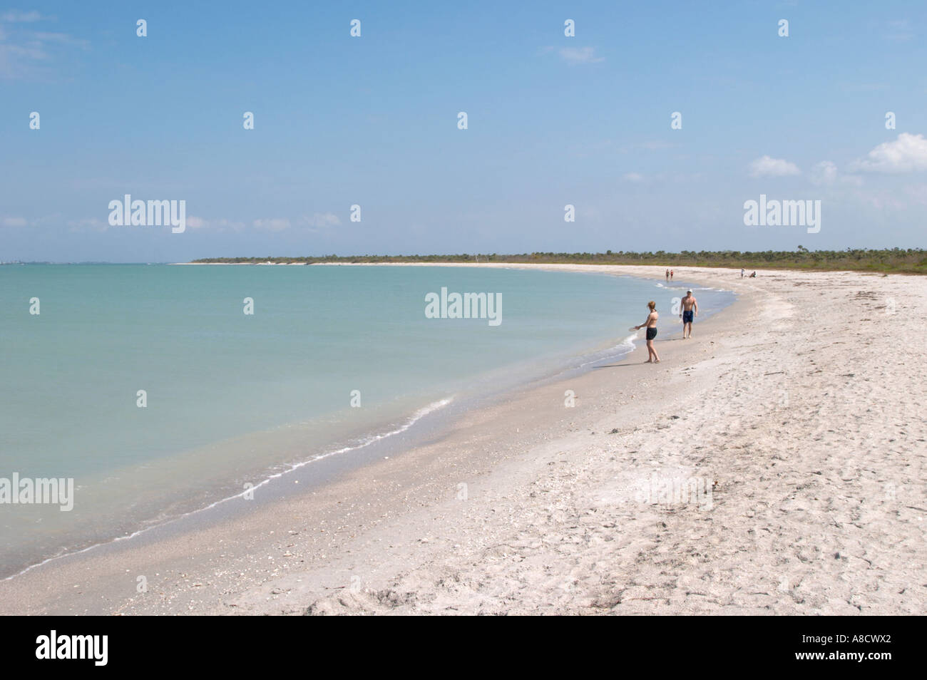 BEACH AT CAYO COSTA STATE PARK ON THE GULF OF MEXICO IN SOUTHWEST ...