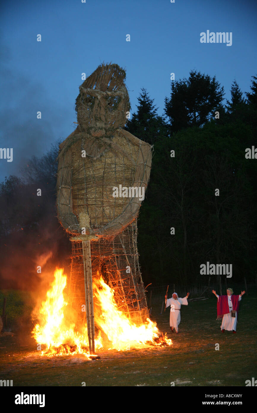 Burning of the Wicker Man Beltain Stock Photo - Alamy