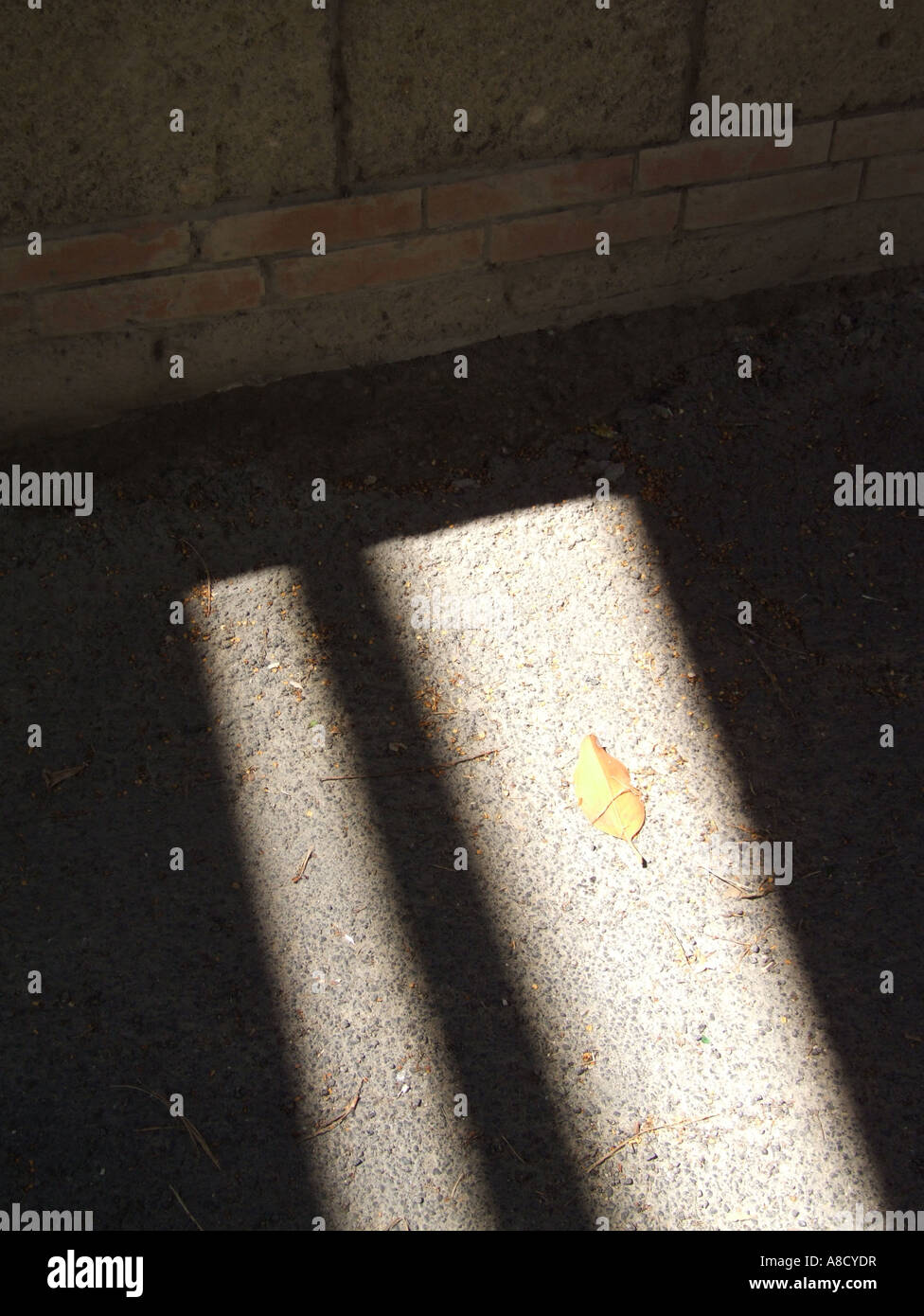 shadow on street Stock Photo - Alamy