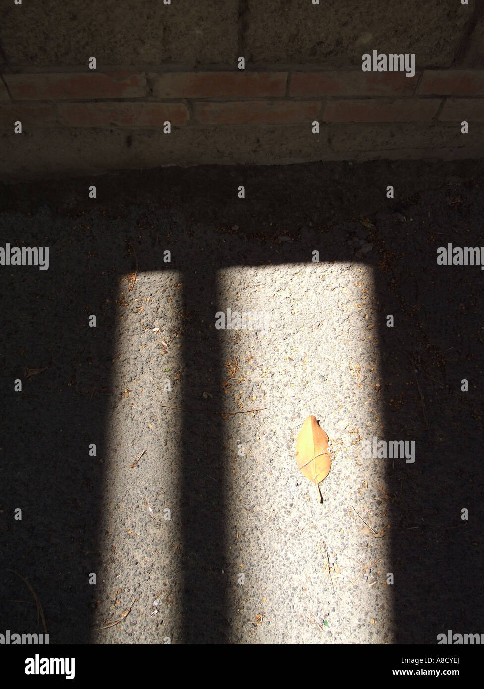 shadow on street Stock Photo - Alamy
