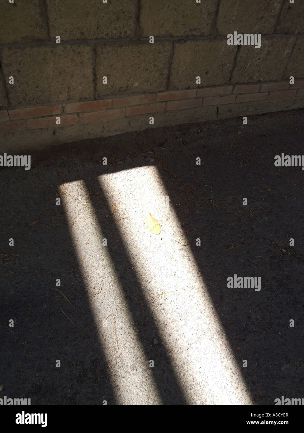 shadow on street Stock Photo - Alamy